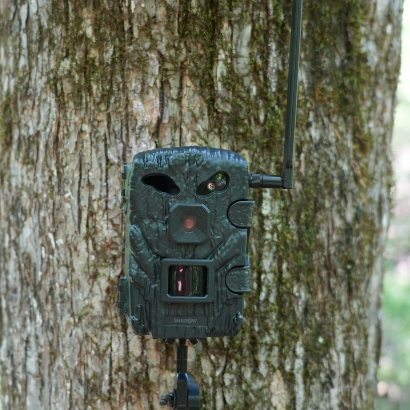 Shadow Cellular Trail Camera – IronSightOutdoors